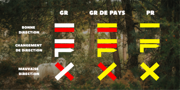 Balisage randonnée : le guide pour tout comprendre